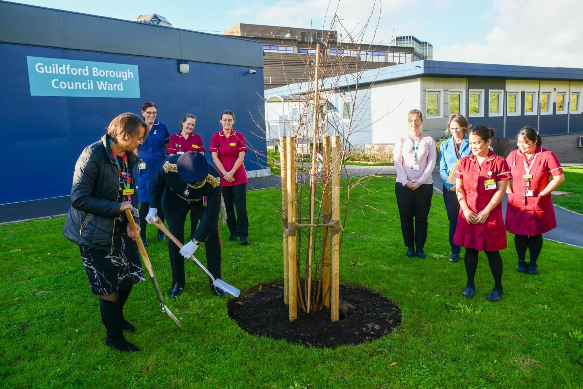 Tree of Trees - Surrey Organisations recognised by The Queen’s Green ...