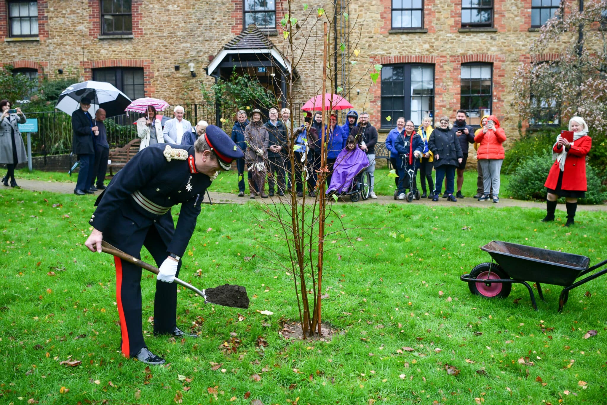 Tree of Trees - Surrey Organisations recognised by The Queen’s Green ...