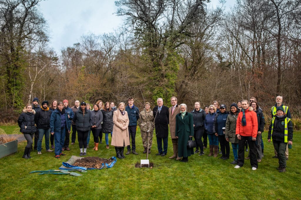Queen Elizabeth S Foundation Queen S Green Canopy Tree Planting