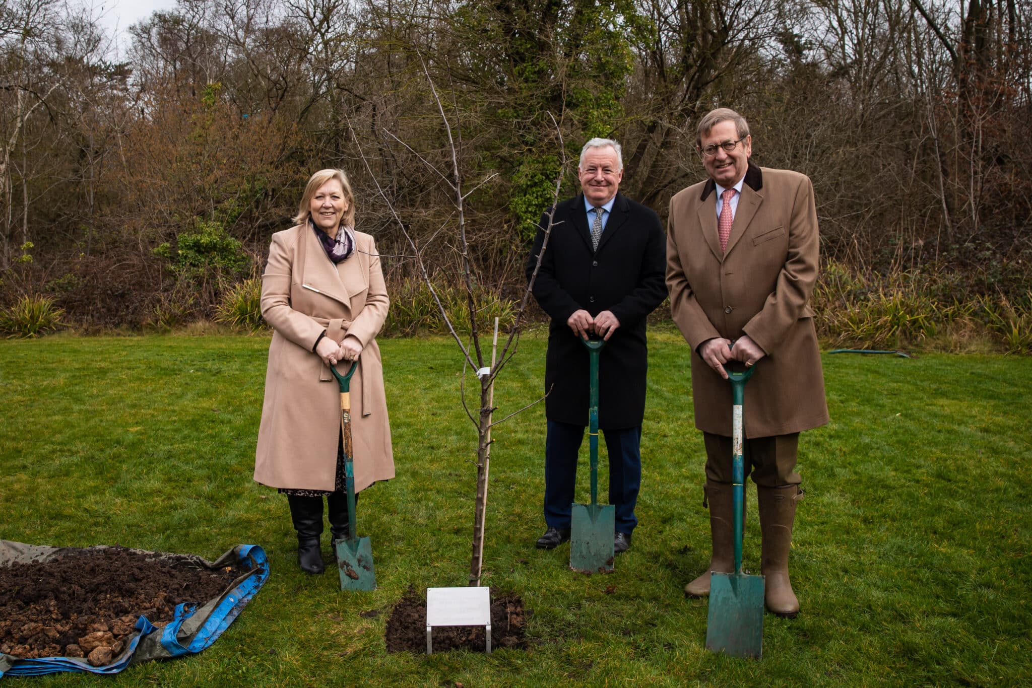 Queen Elizabeth's Foundation Queen’s Green Canopy tree planting ...